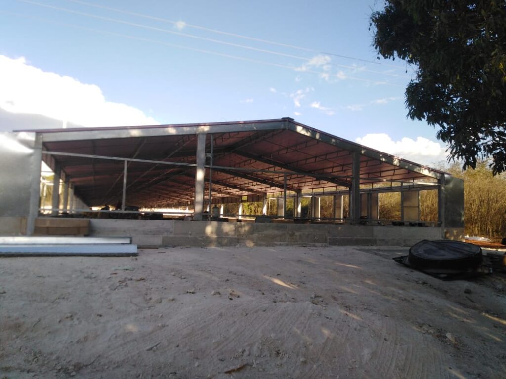 Granjas Bachoco Bolonchen Campeche – Construcciones y Edificaciones ...